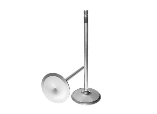 Engine & Components - AllPontiac Tiger Head Components